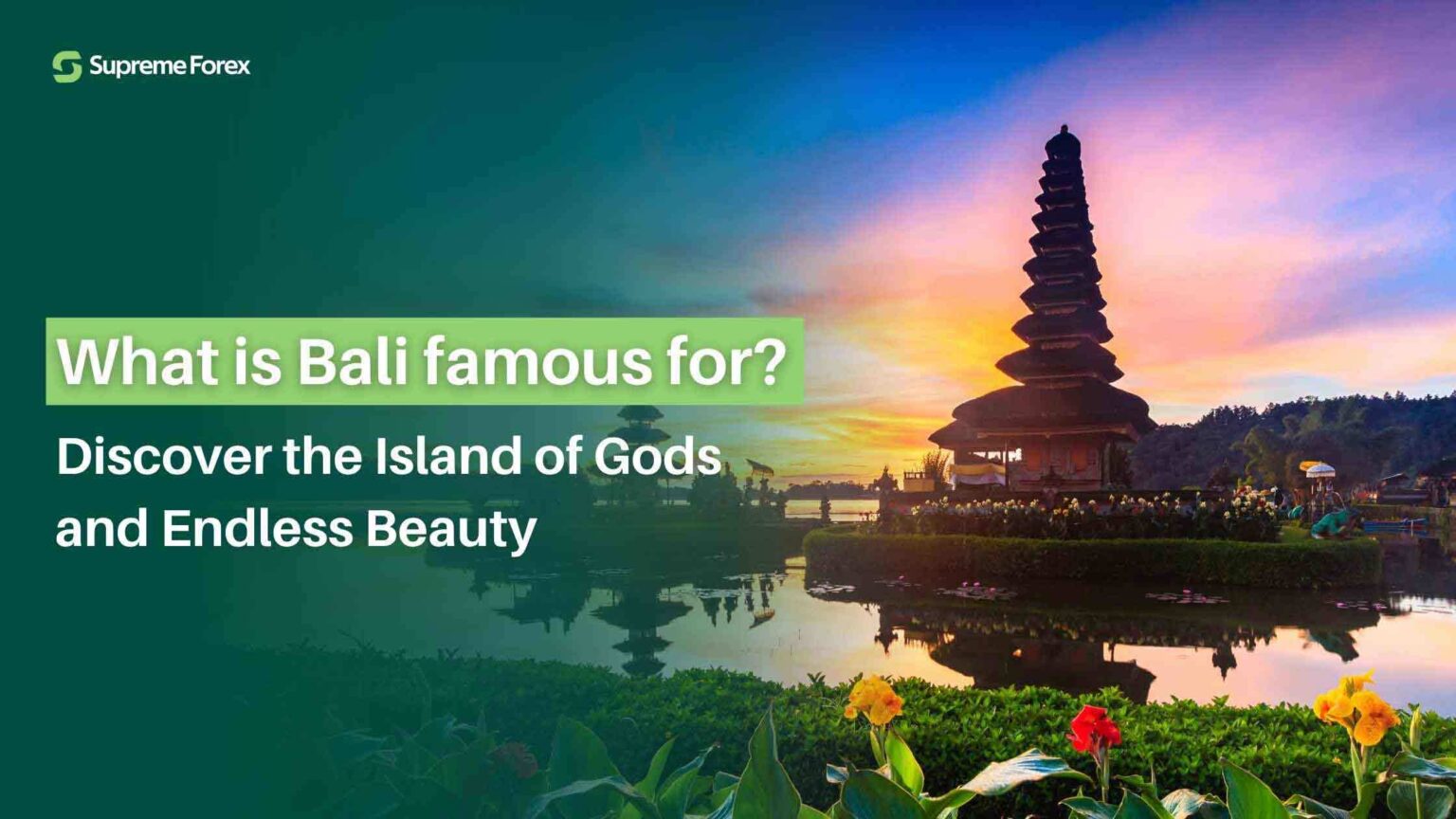 Places to visit in Bali in 2026 - Discover the Island of Gods
